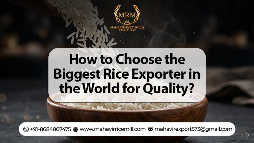 How to Choose the Biggest Rice Exporter in the World for Quality?