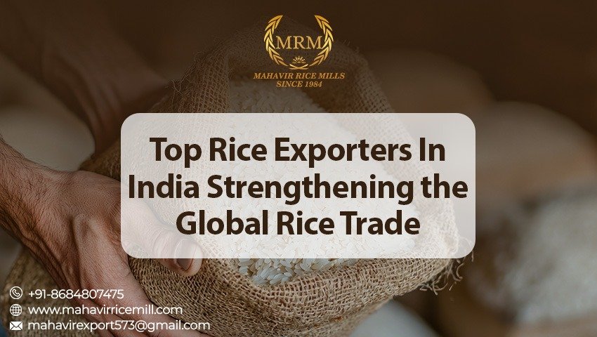 Top Rice Exporters In India Strengthening the Global Rice Trade