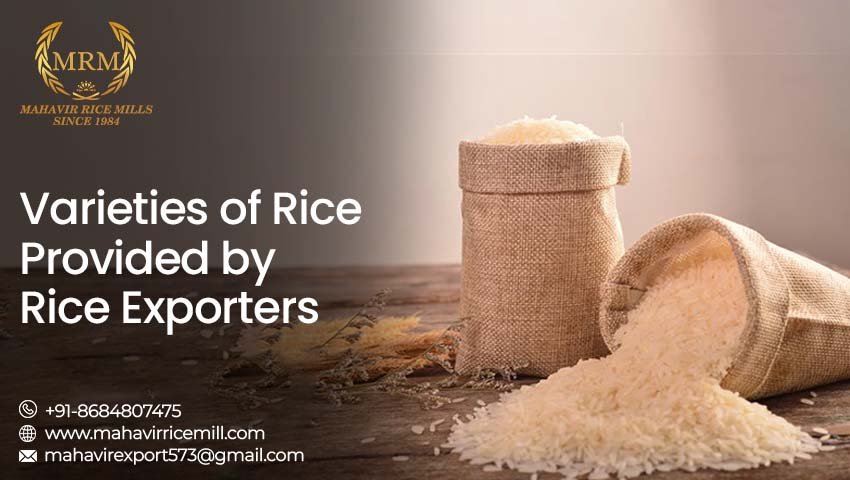 Rice Information, Articles on Rice, Rice Facts & Forms of Rice ...