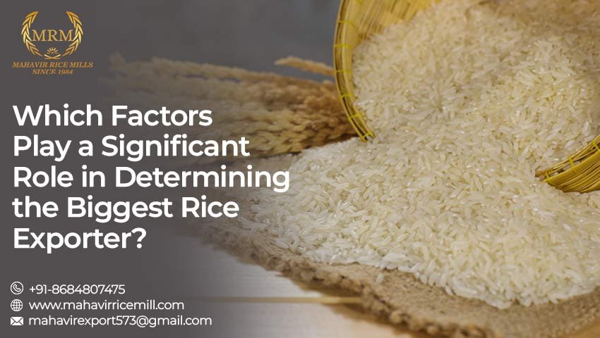 Which Factors Play a Significant Role in Determining the Biggest Rice ...