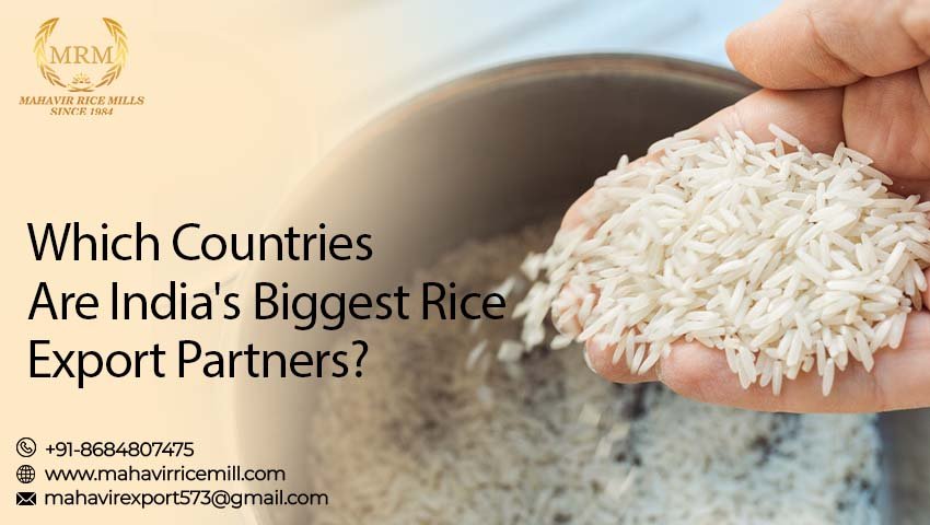 Which Countries Are India Biggest Rice Export Partners?